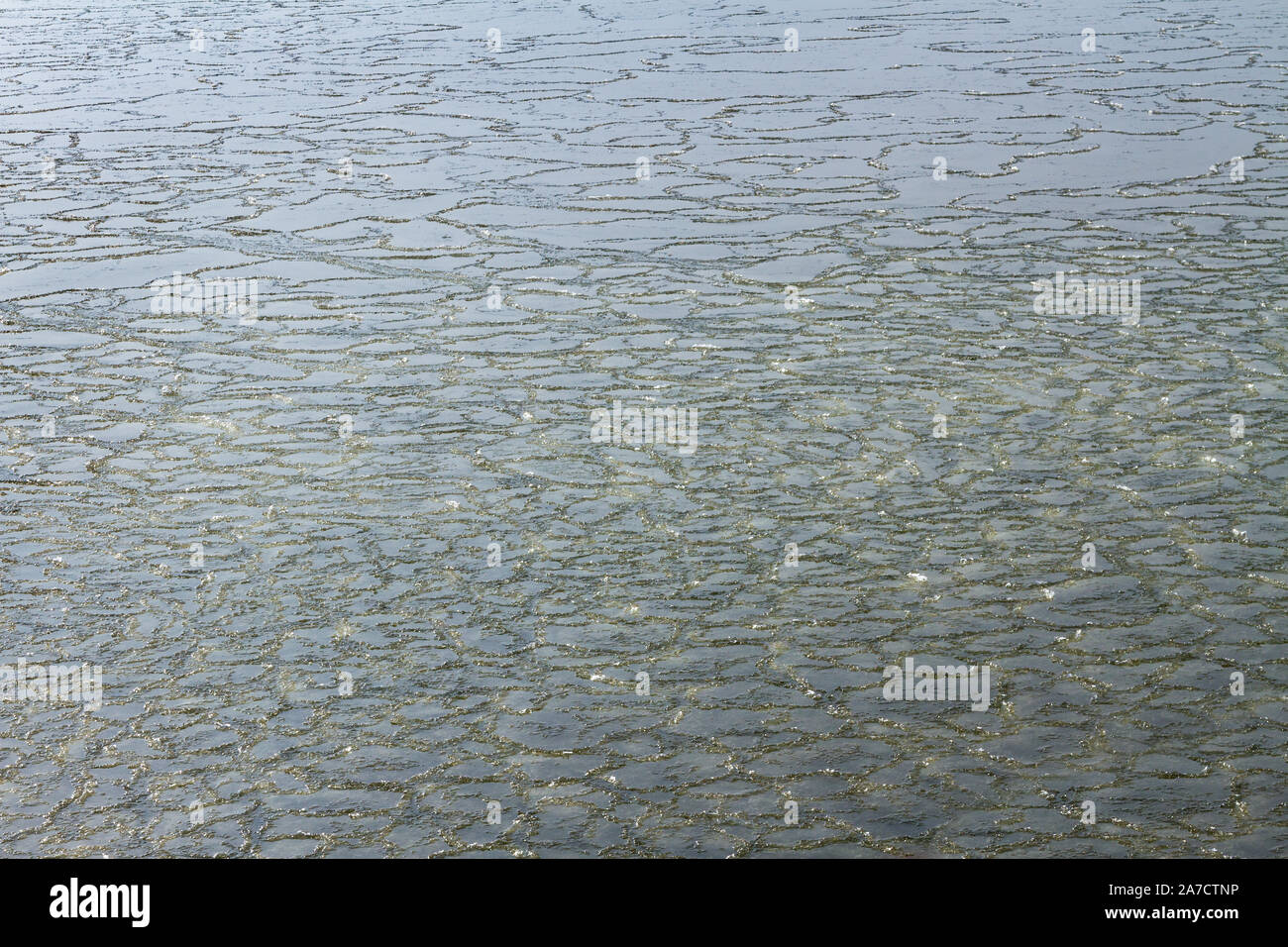 Beautiful and dangerous surface of snow sludge on water Stock Photo - Alamy