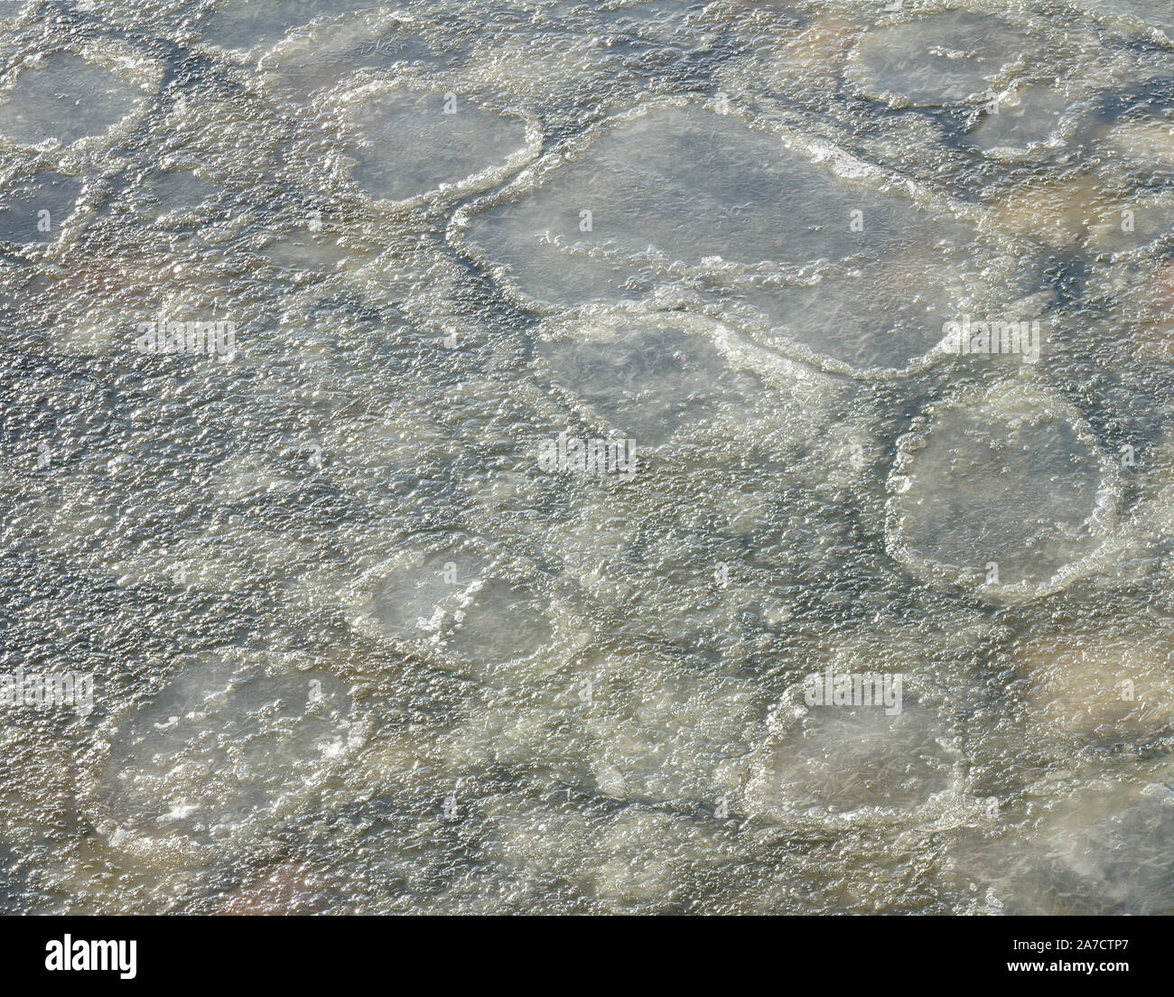 Beautiful and dangerous surface of snow sludge on water Stock Photo - Alamy