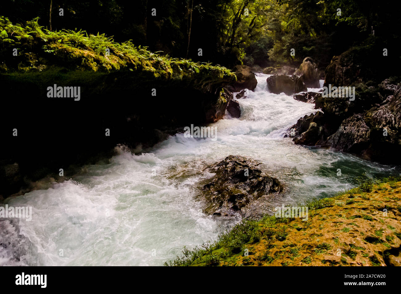 Landscape in Semuc Champey, Lanquin, Guatemala, Central America Stock ...