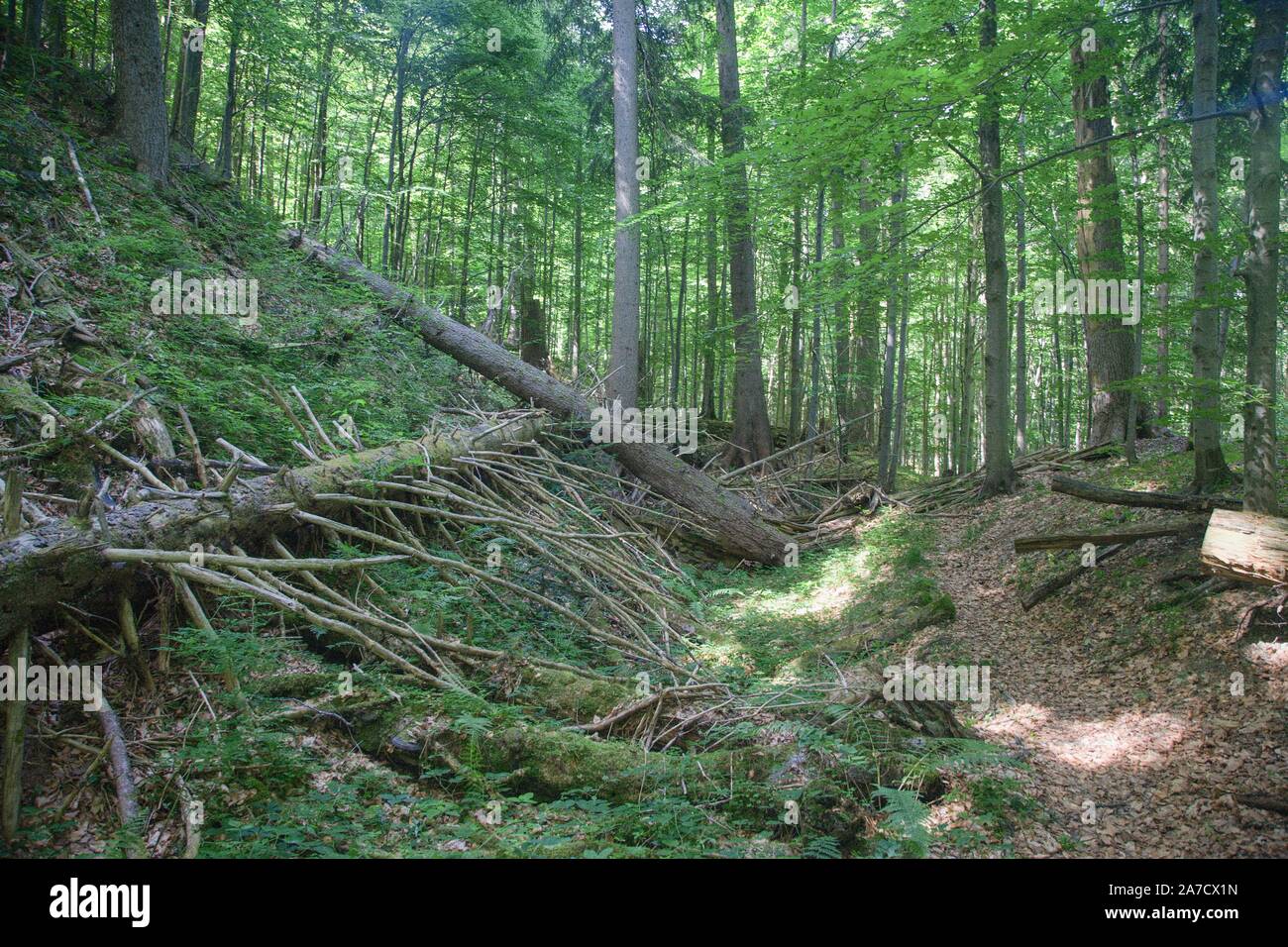 Protected enviroment hi-res stock photography and images - Alamy