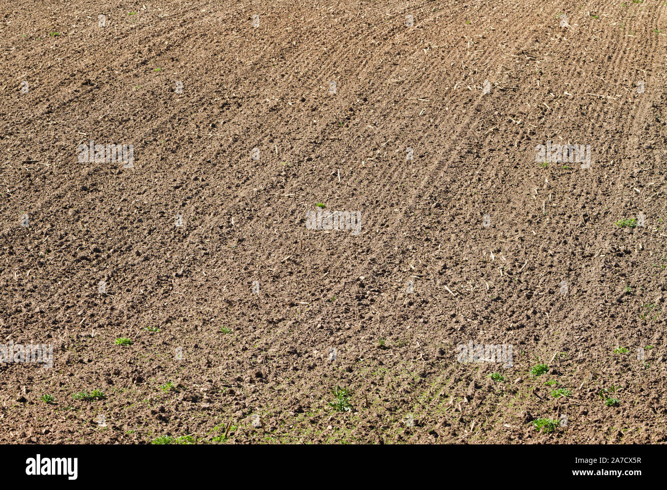 Surface of natural plowed field Stock Photo - Alamy