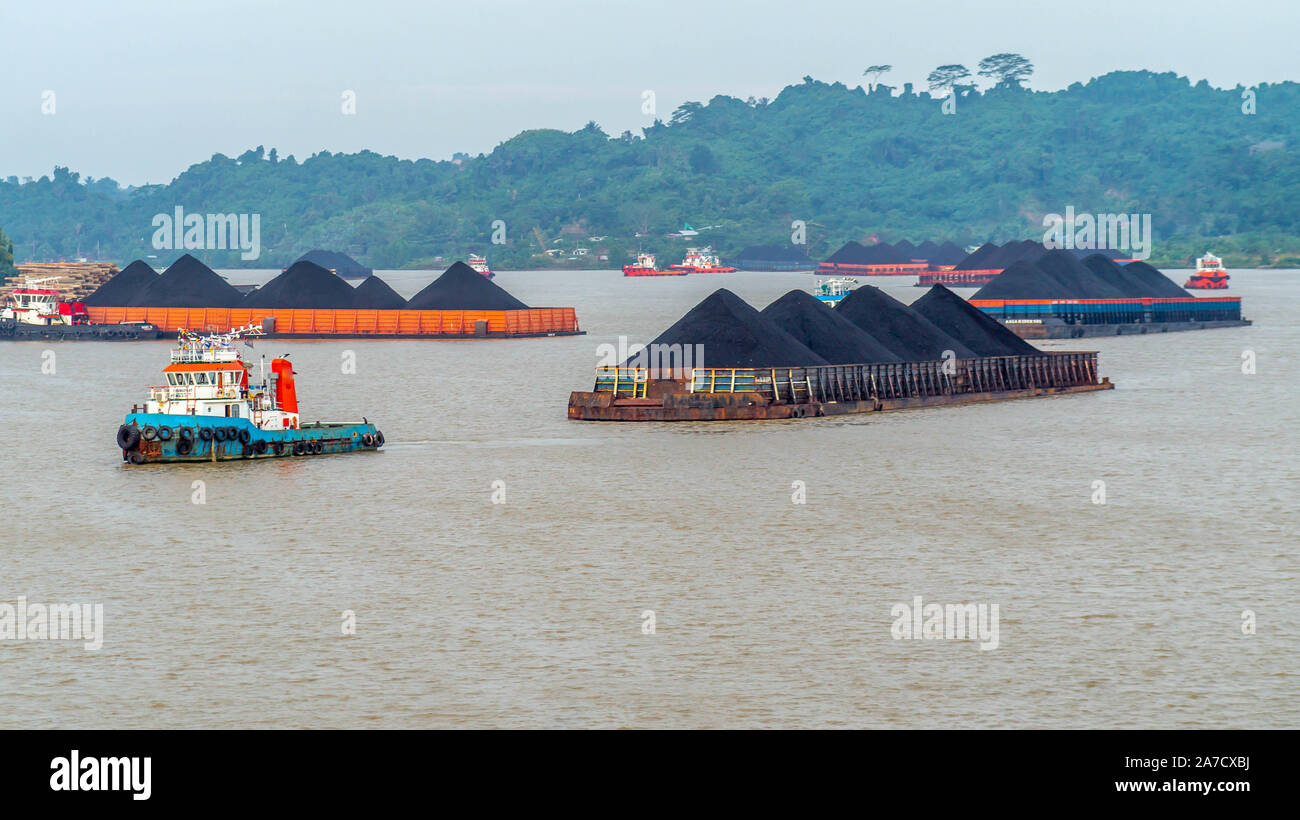 the traffic of tugboat dragging barge full of coal at Mahakam River ...
