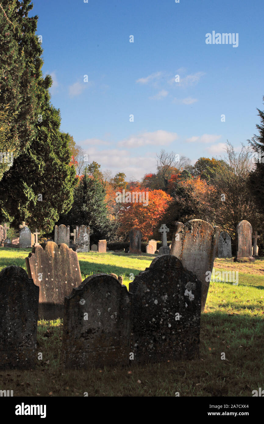 A quiet scene in the graveyard of St. Mary's Church, Selborne ...
