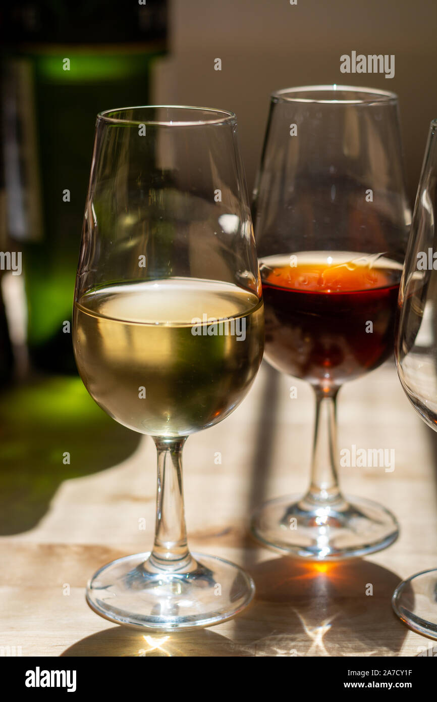 Sherry wine tasting in wine cellars, selection of different jerez ...