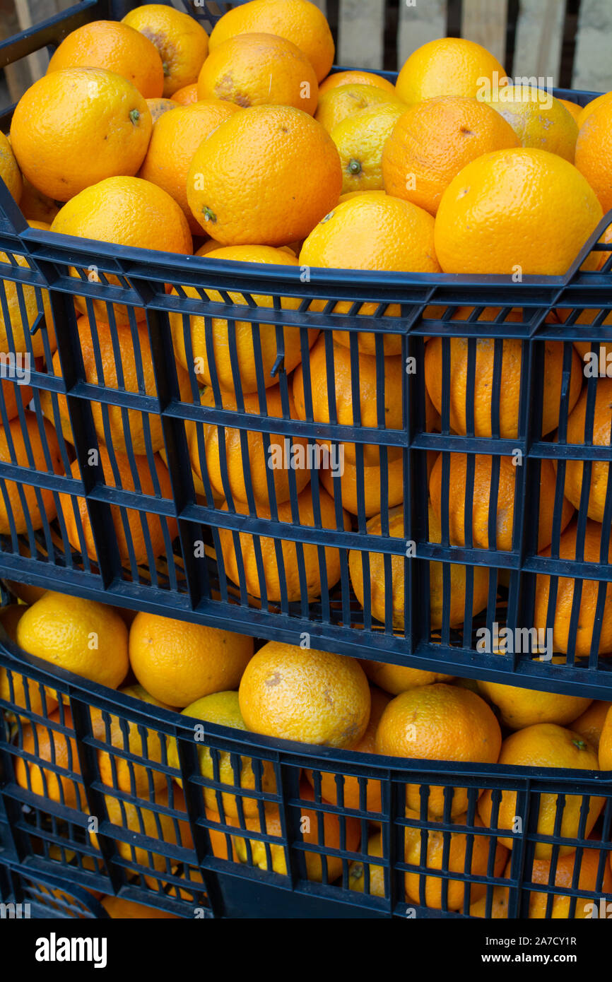 Plastic containers full with fresh ripe yellow oranges citrus fruits ...