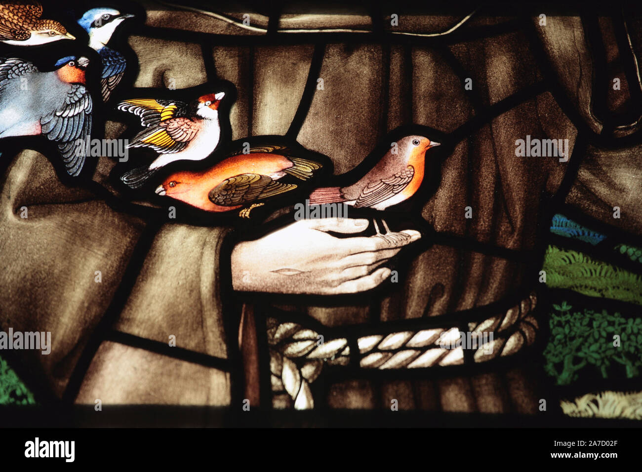 Saint francis of assisi birds hi-res stock photography and images - Alamy