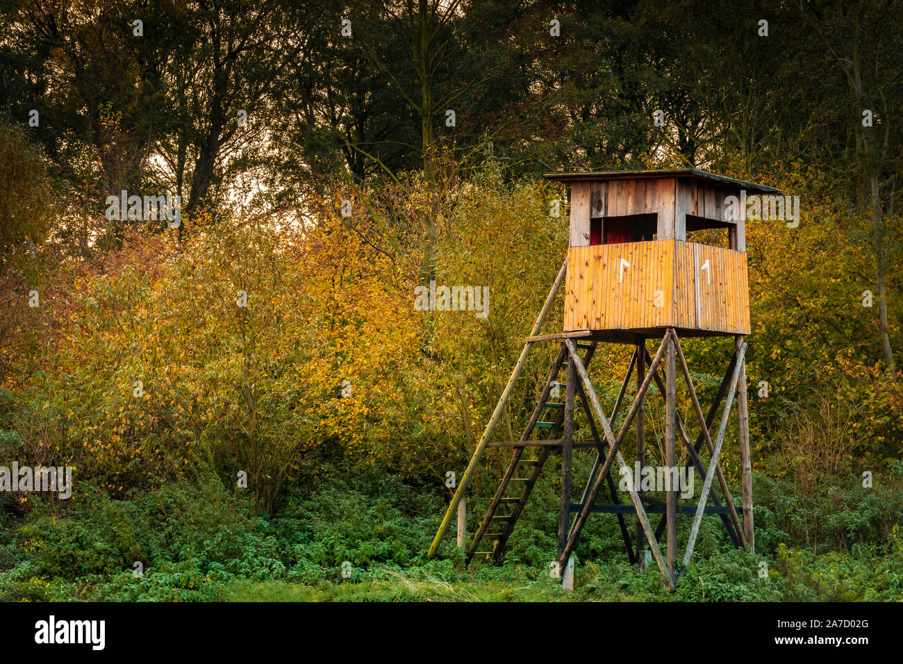 Hunting structure hi-res stock photography and images - Alamy