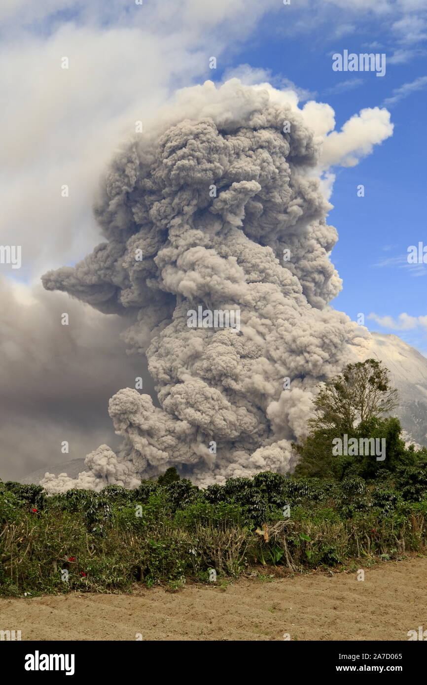 Ash pyroclastic flow hi-res stock photography and images - Alamy