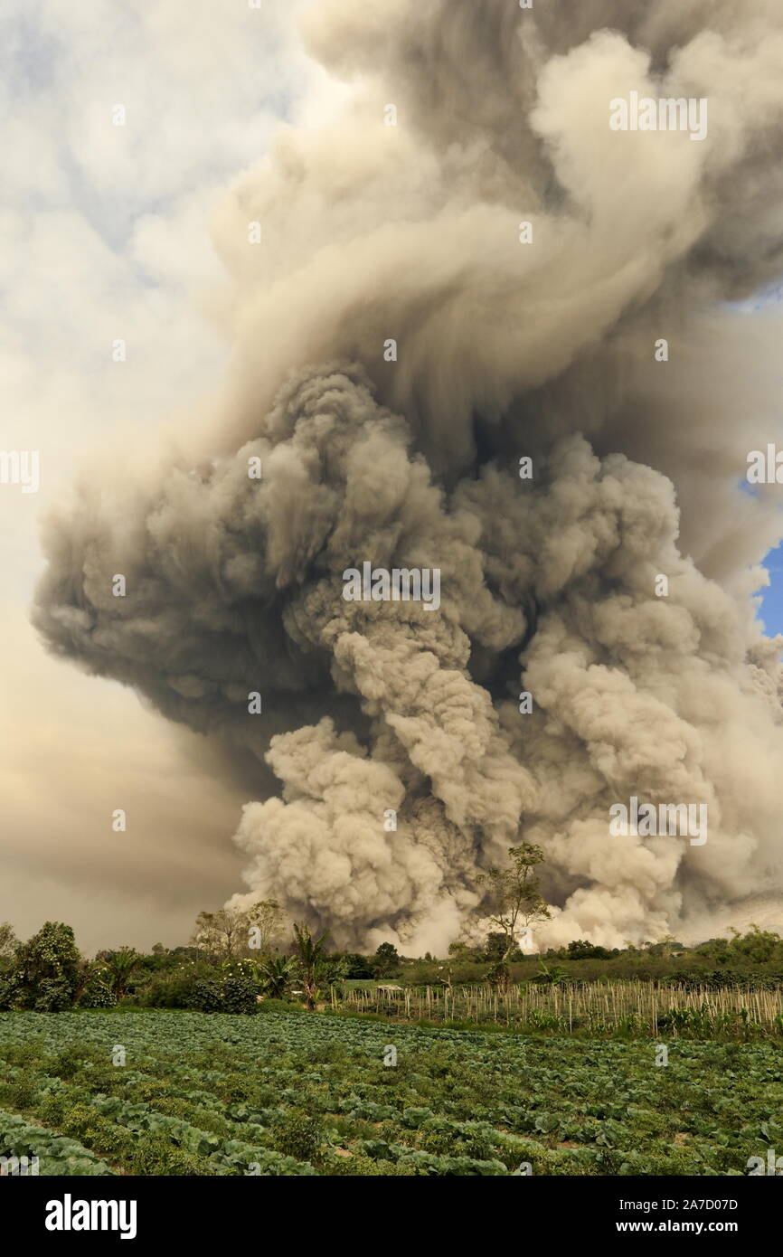 Pyroclastic disaster hi-res stock photography and images - Alamy