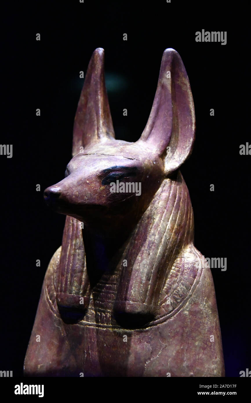 Gilded wooden jackal headed figure duamutef hi-res stock photography ...
