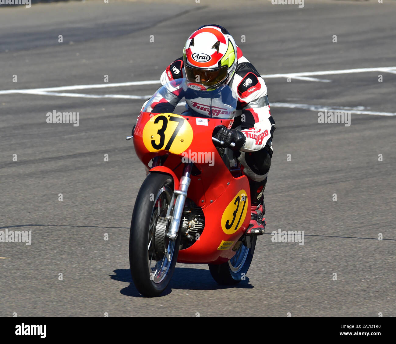 Alan Cathcart, Mark Linton, Aermacchi Ala d'Oro 408, Barry Sheene ...