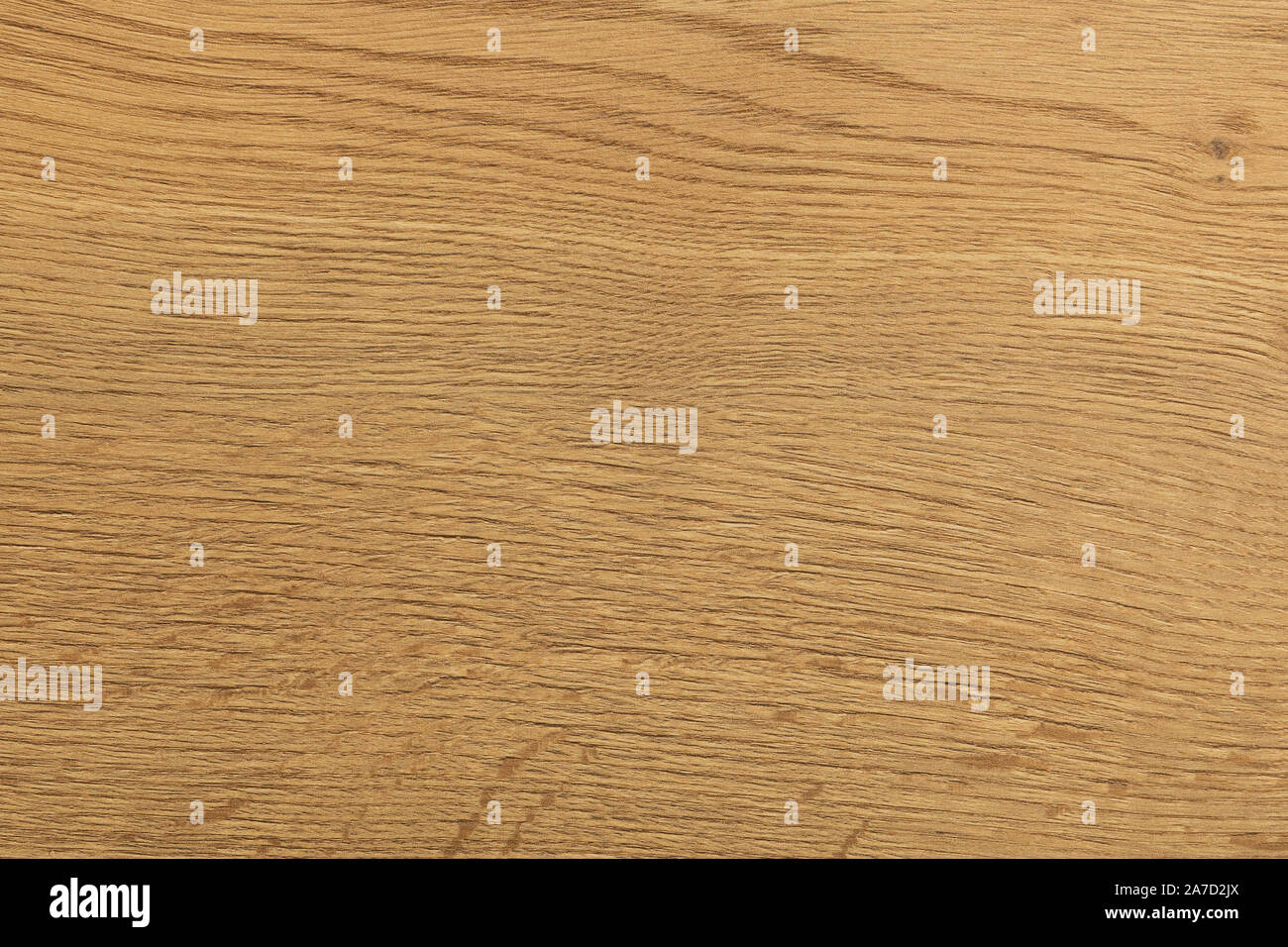 Smooth Alder High Resolution Stock Photography and Images - Alamy