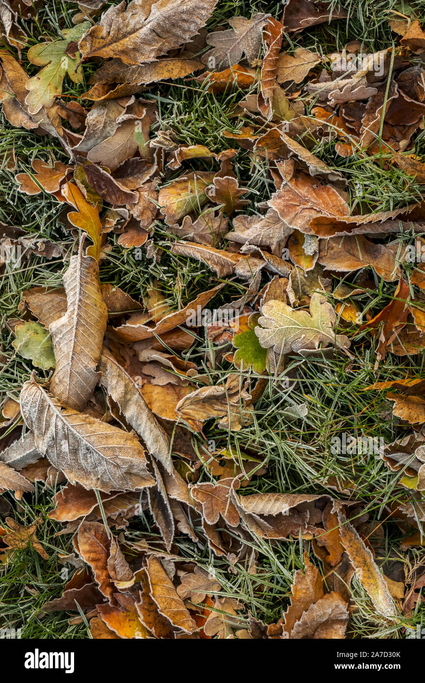 Colour of Autumn Stock Photo - Alamy