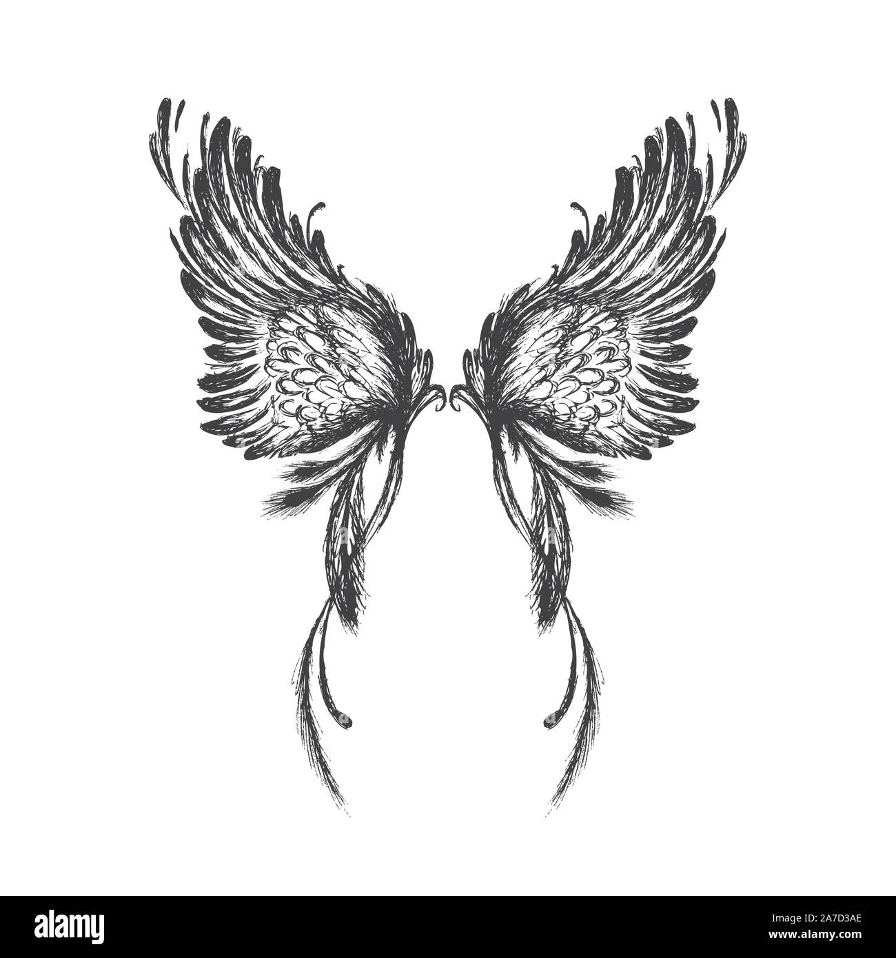 Hand drawn wings,isolated on white background,vector illustration Stock ...
