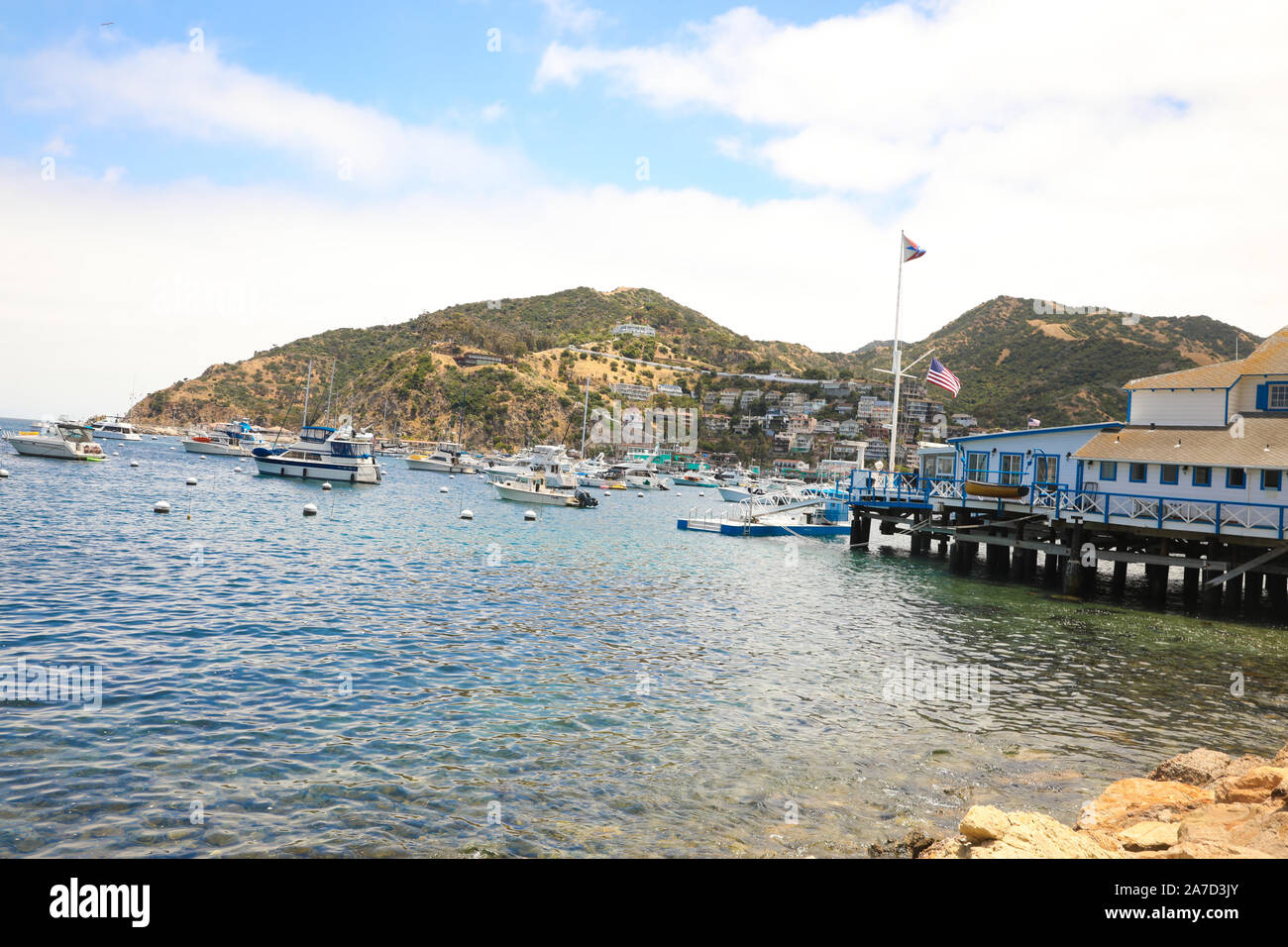 Catalina Island, California. Houses on the hills along the waterfront ...