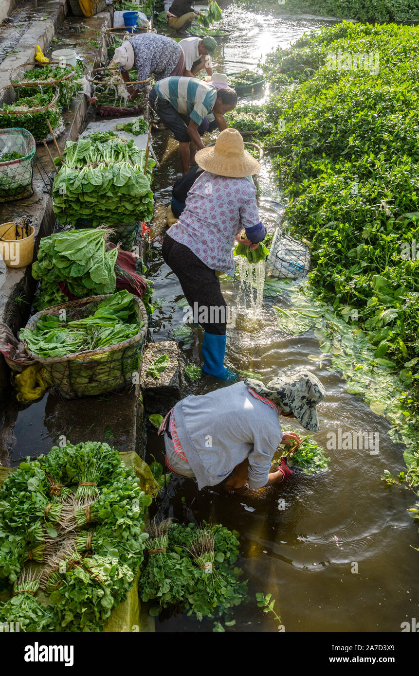 Farmers washing vegetables in Dali, Yunnan, China Stock Photo - Alamy