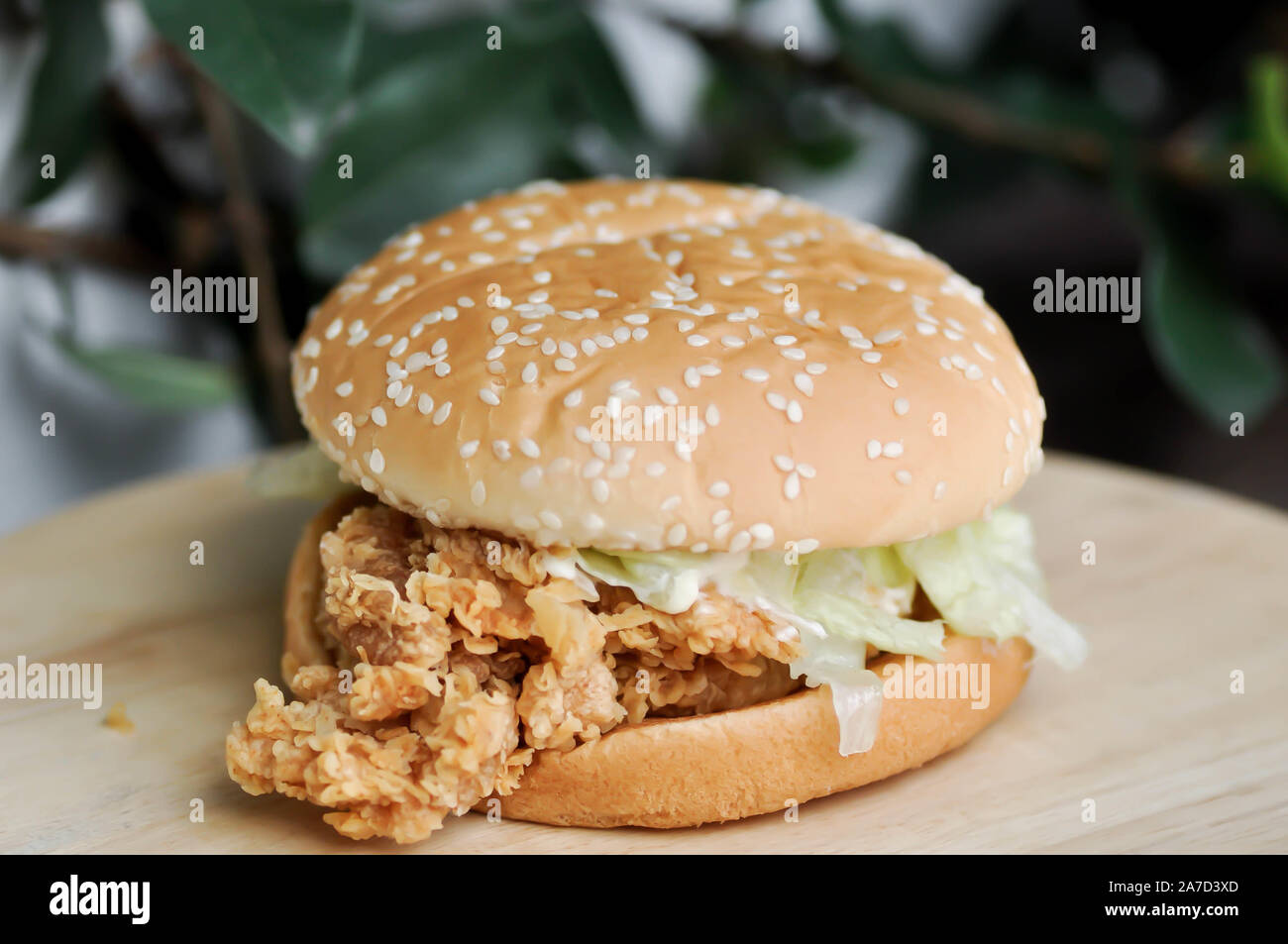 chicken burger or hamburger, bread with stuffed Stock Photo - Alamy
