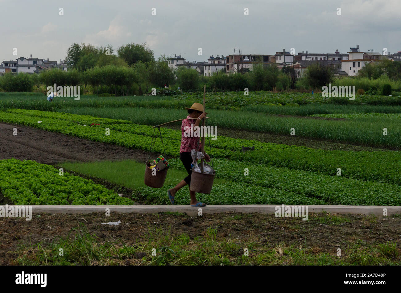 A Farmer working the field in Dali, Yunnan, China Stock Photo - Alamy