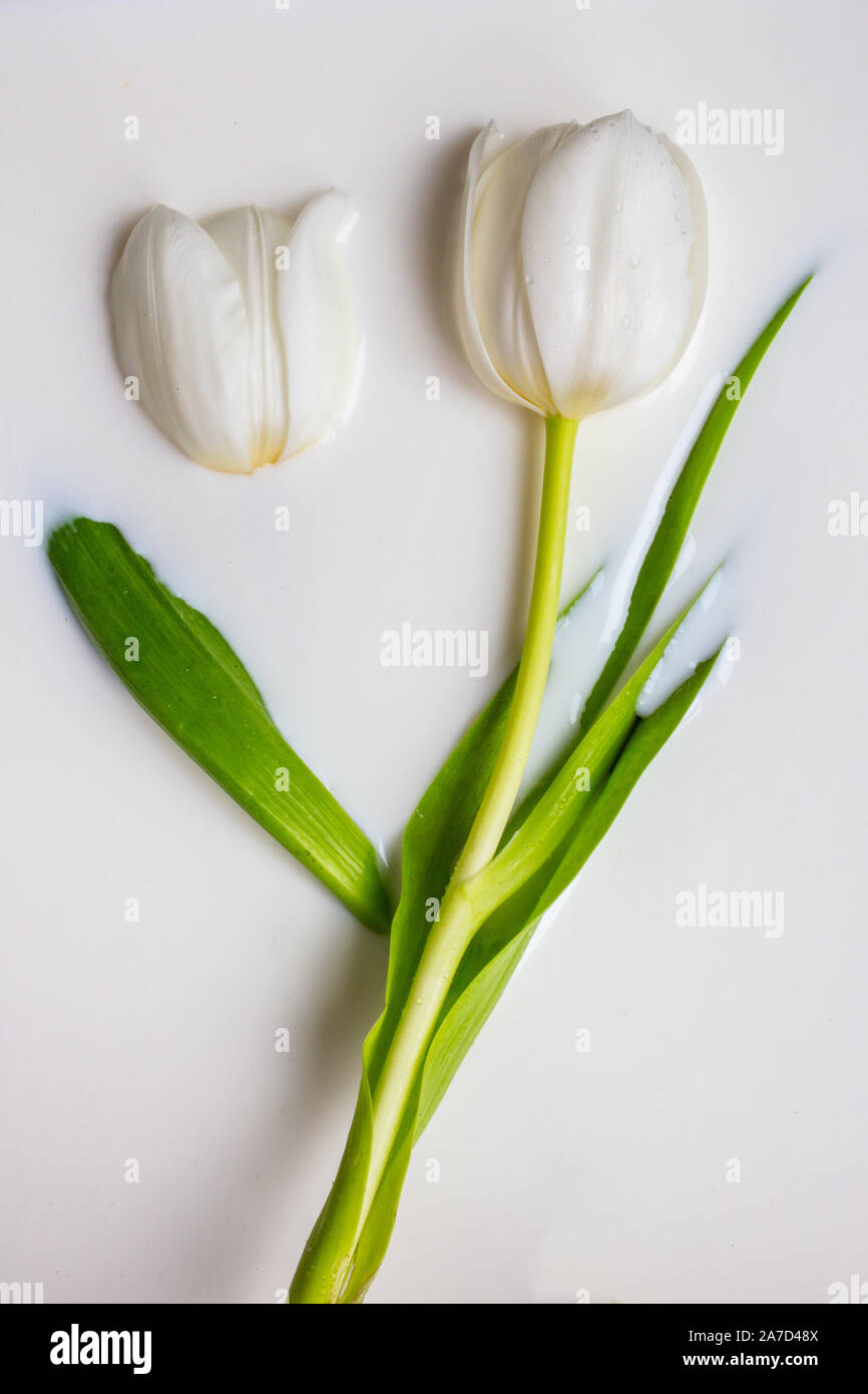 White liquid hi-res stock photography and images - Alamy