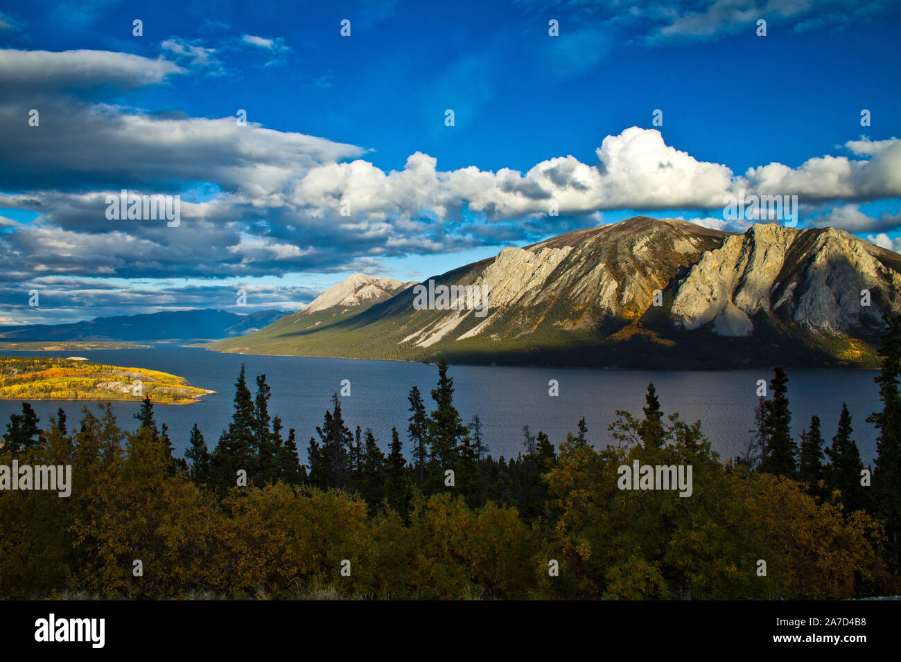 Autumn views of Tagish Lake and Bove Island, located near Carcross, in ...