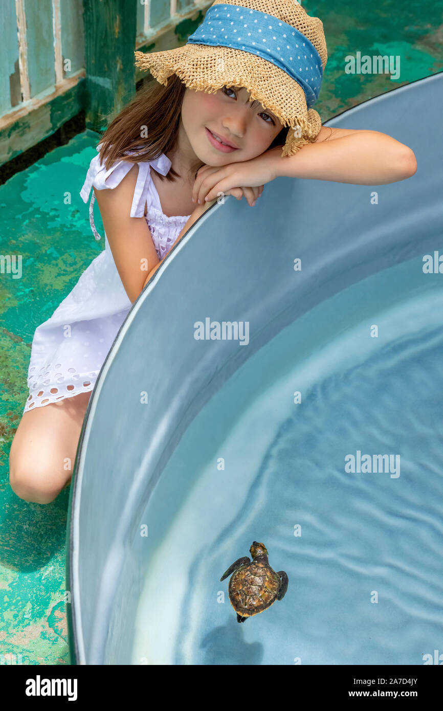Cute baby sea turtle swimming hi-res stock photography and images - Alamy