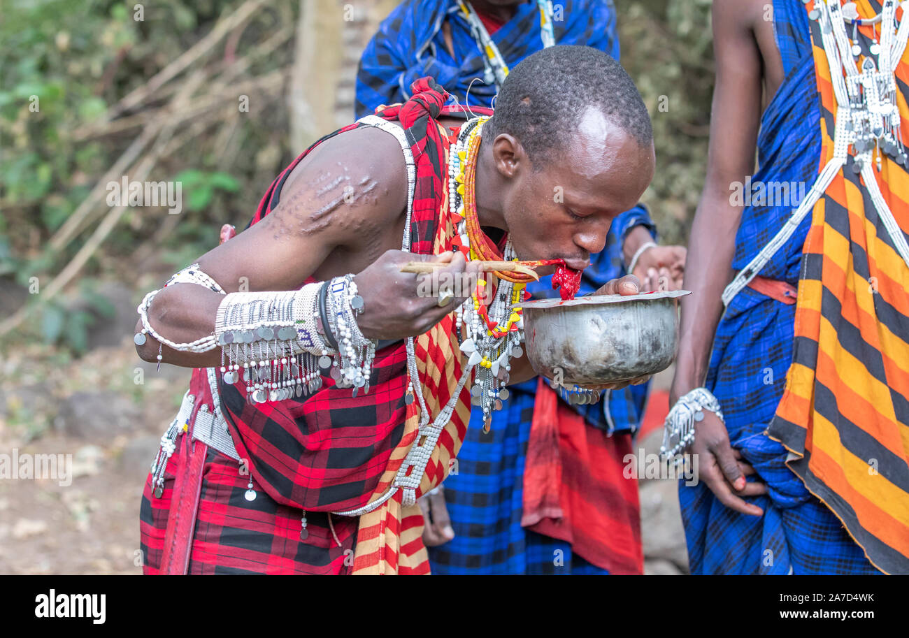 Masai man drinking hi-res stock photography and images - Alamy