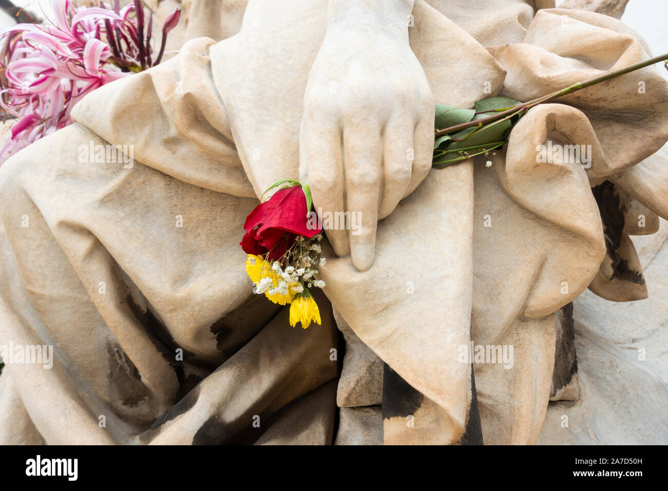 Red rose placed in hand on statue in cemetery Stock Photo - Alamy
