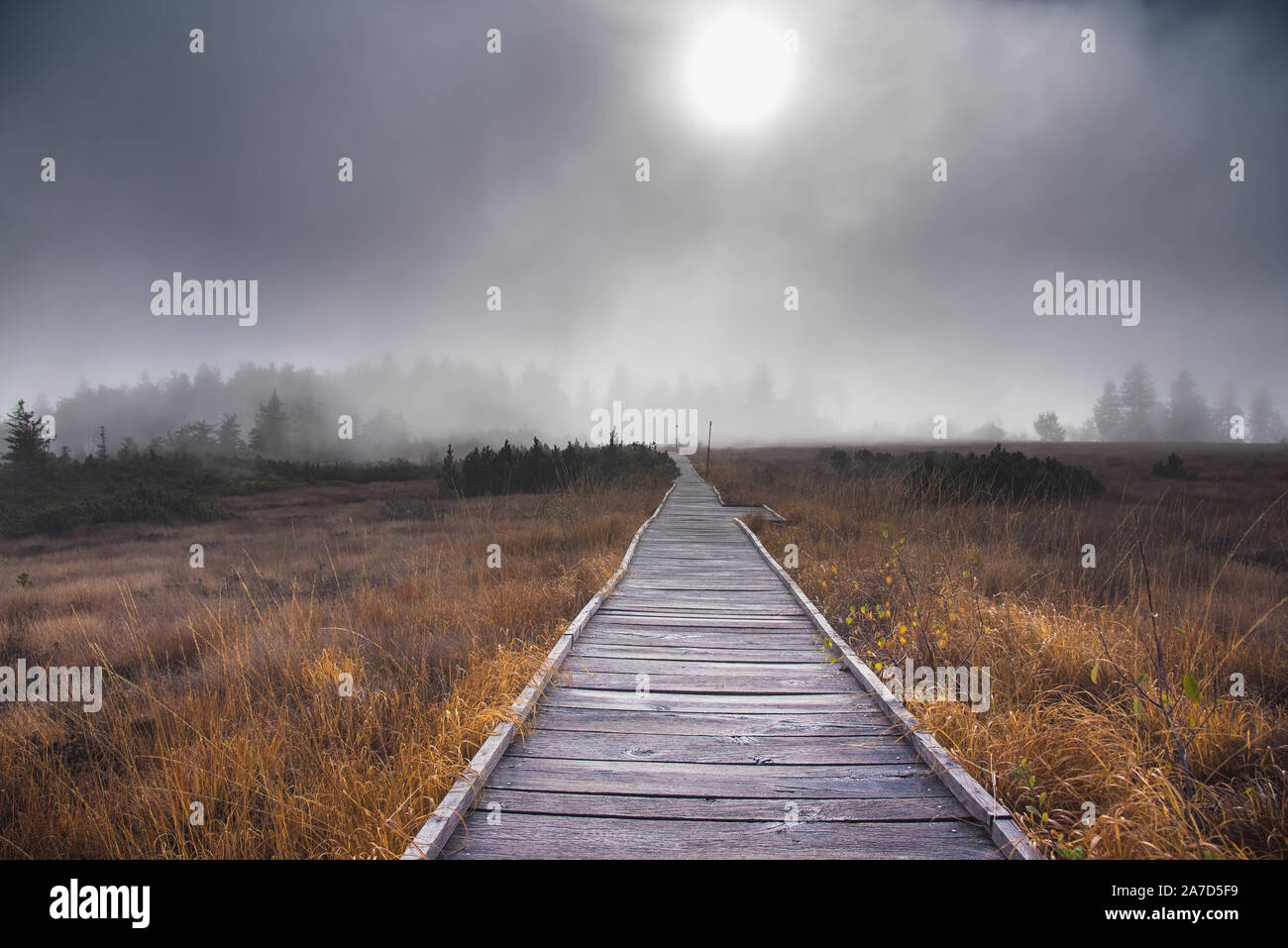 The path into the fog Stock Photo - Alamy