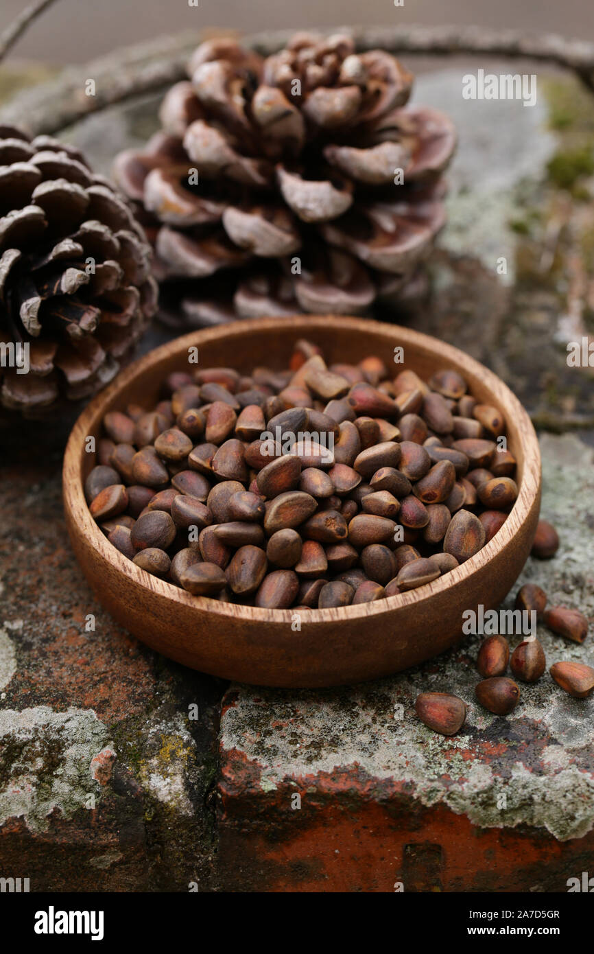 natural organic pine cones and nuts Stock Photo - Alamy