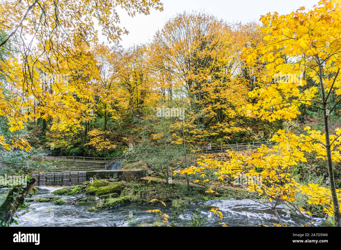 Autumn landscape shot at Tumwater Falls Park in Washington State Stock ...