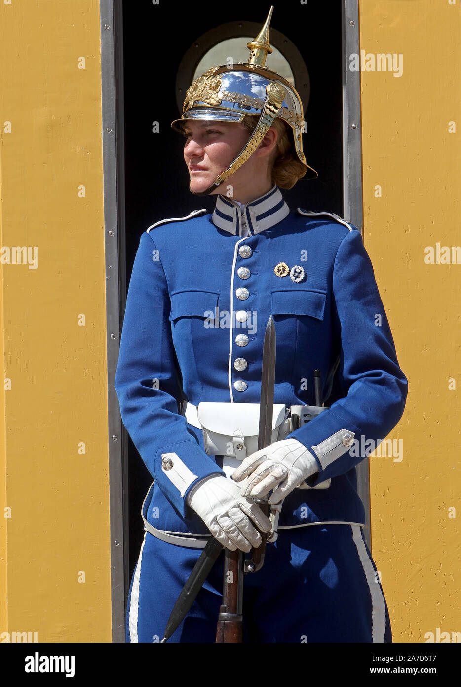 The Royal Guards (Swedish: Högvakten) is the King of Sweden's cavalry ...