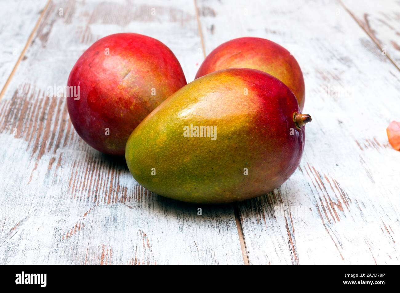 Healthy Round Ripe Mangoes High Resolution Stock Photography and Images ...