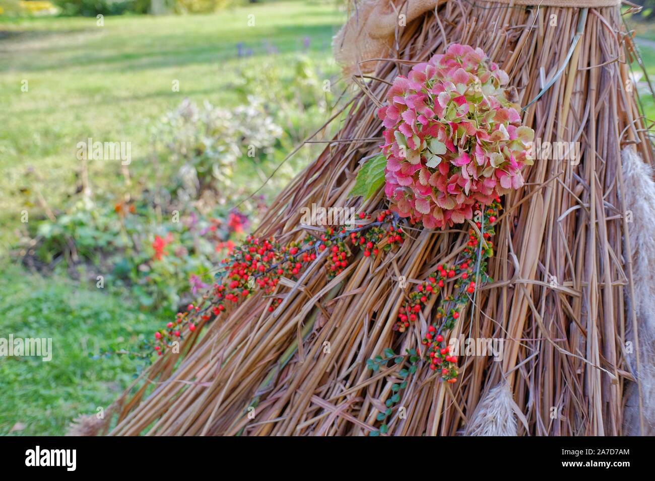 This image was taken in the botanical garden in Bucharest, Romania ...