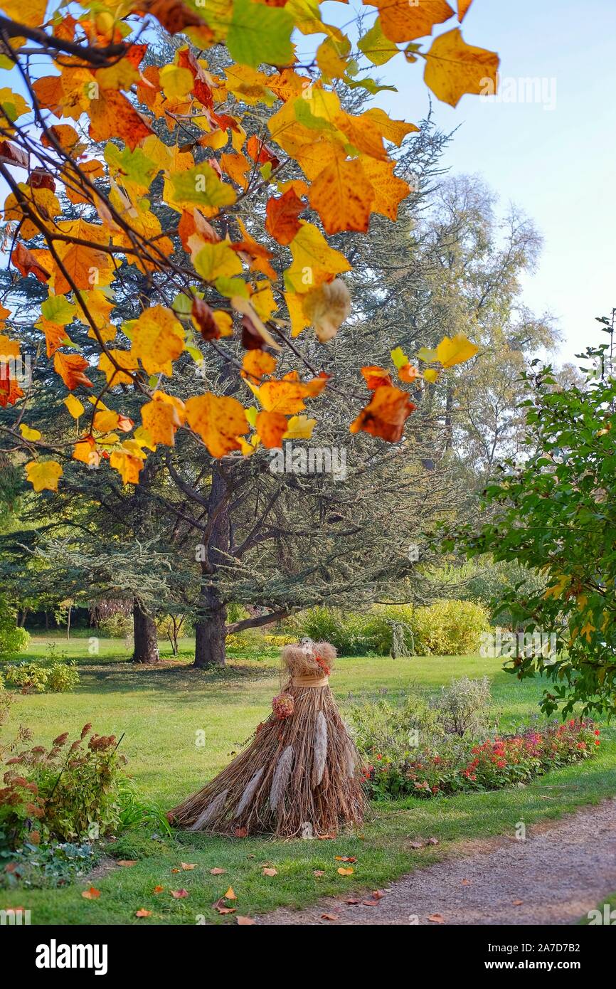 This image was taken in the botanical garden in Bucharest, Romania ...