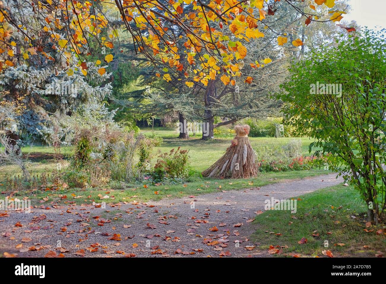 This image was taken in the botanical garden in Bucharest, Romania ...