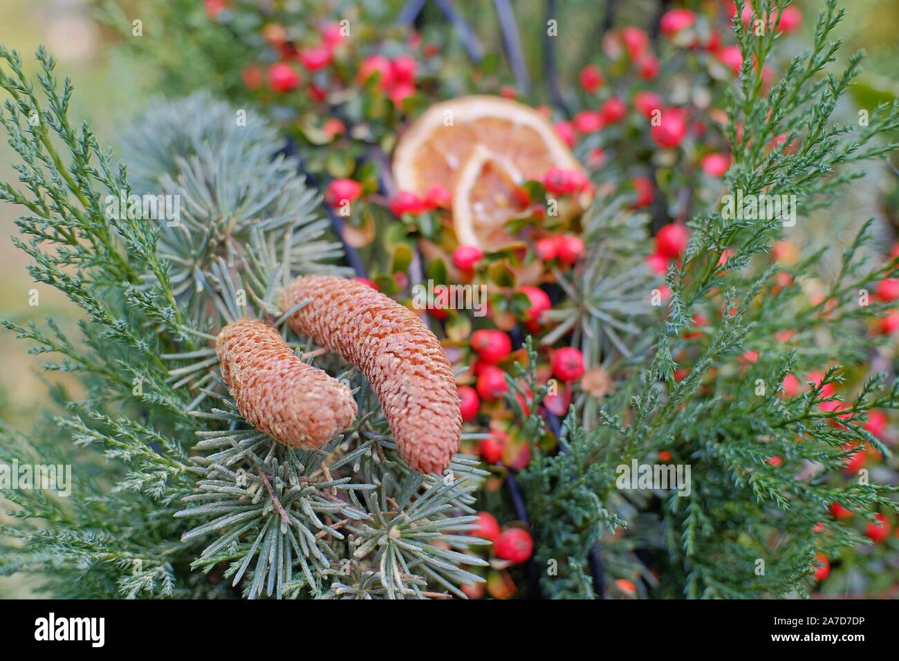 Bucharest Nature Park High Resolution Stock Photography and Images - Alamy