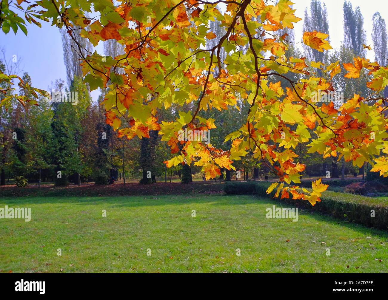 This image was taken in the botanical garden in Bucharest, Romania ...