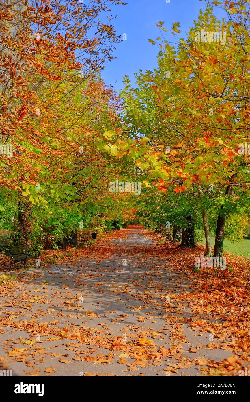 Bucharest botanical garden fall hi-res stock photography and images - Alamy