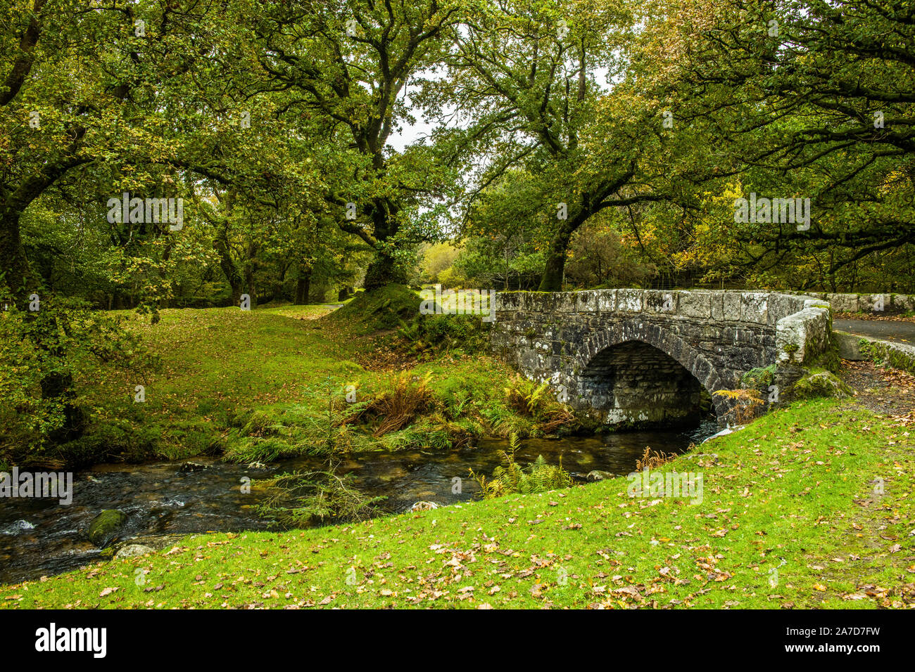 Road around burrator reservoir hi-res stock photography and images - Alamy