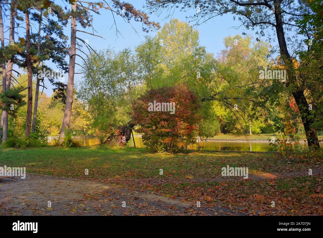 This image was taken in the botanical garden in Bucharest, Romania ...