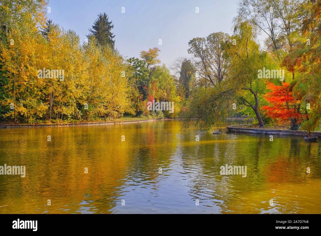 This image was taken in the botanical garden in Bucharest, Romania ...