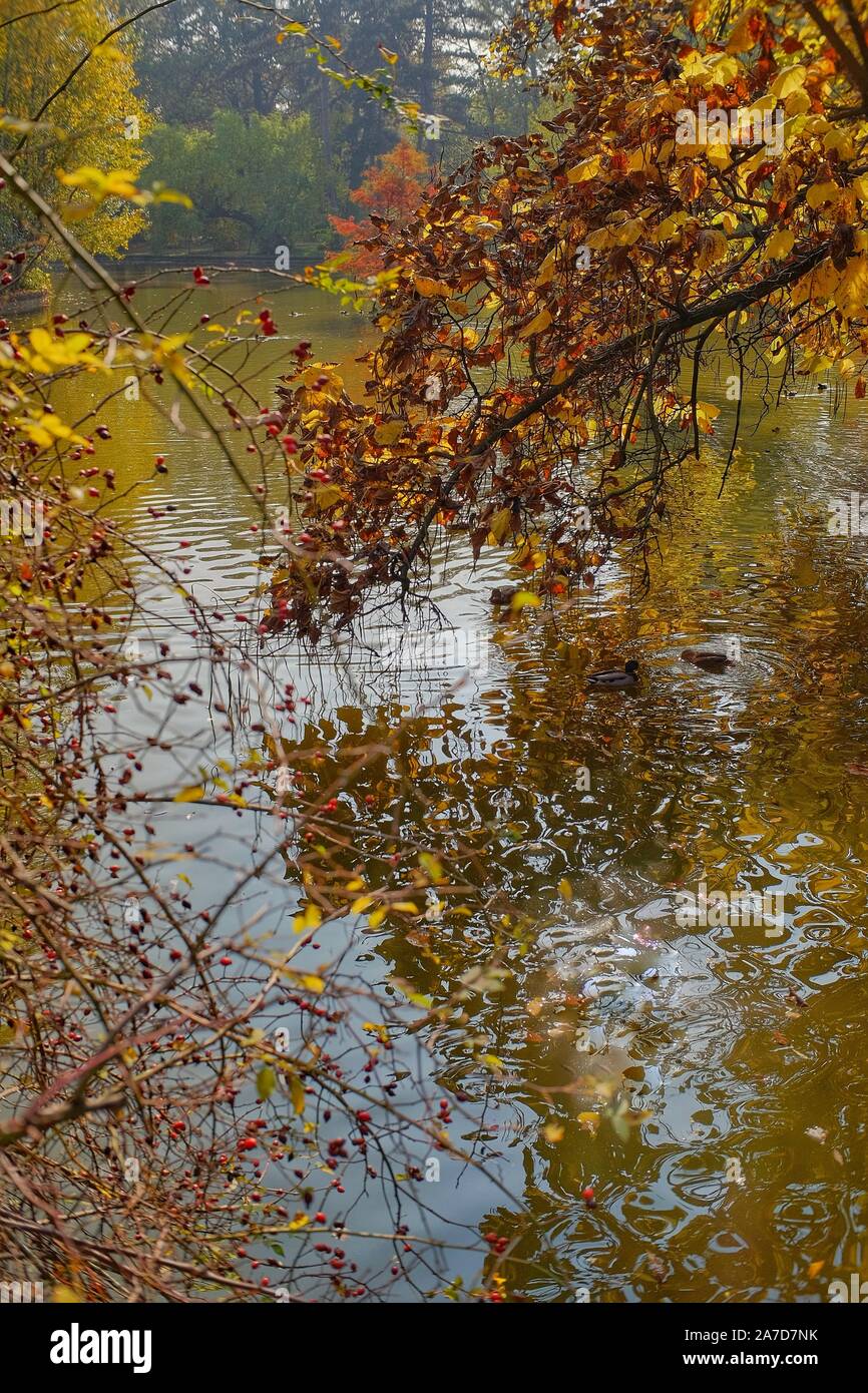 This image was taken in the botanical garden in Bucharest, Romania ...