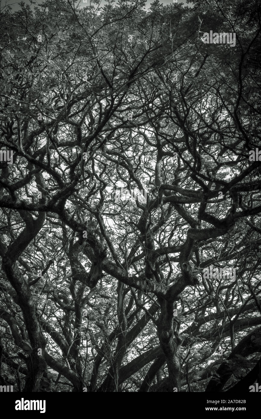 Nature naturally beautiful awesome amazing hi-res stock photography and ...