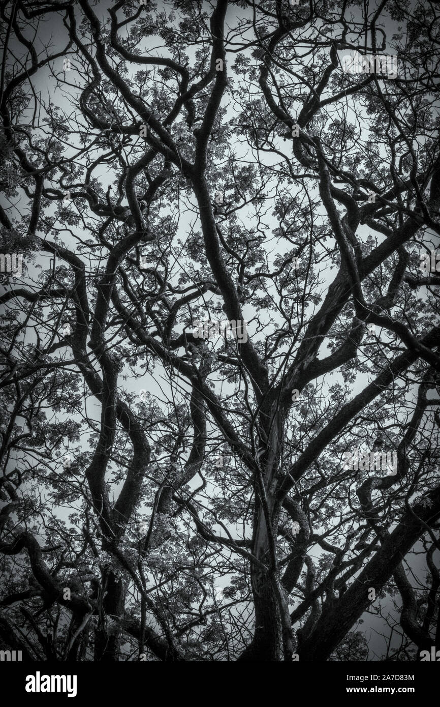 Cool and shady spot hi-res stock photography and images - Alamy