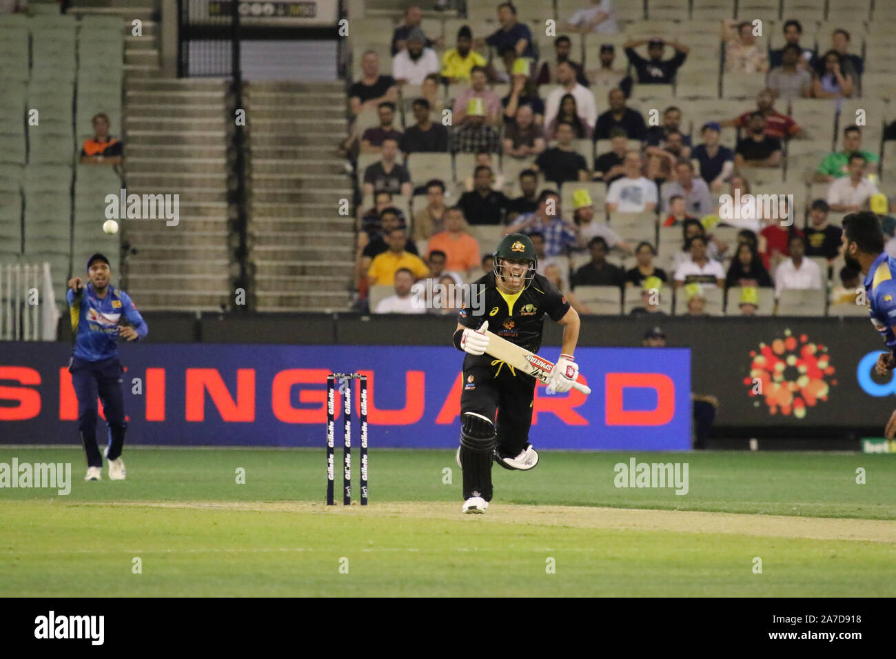 David green cricket hi-res stock photography and images - Alamy