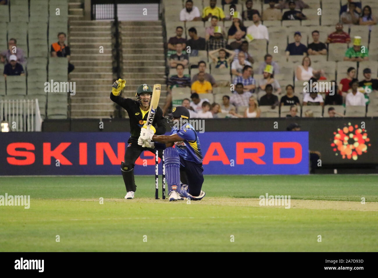 Australia wicket keeper alex carey hi-res stock photography and images ...