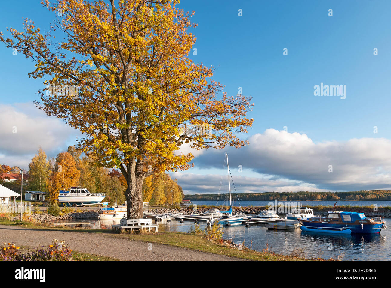 Veera hi-res stock photography and images - Alamy