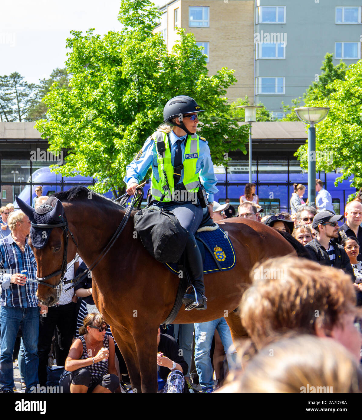 A Swedish police woman on a horse is waiting for the parade called ...