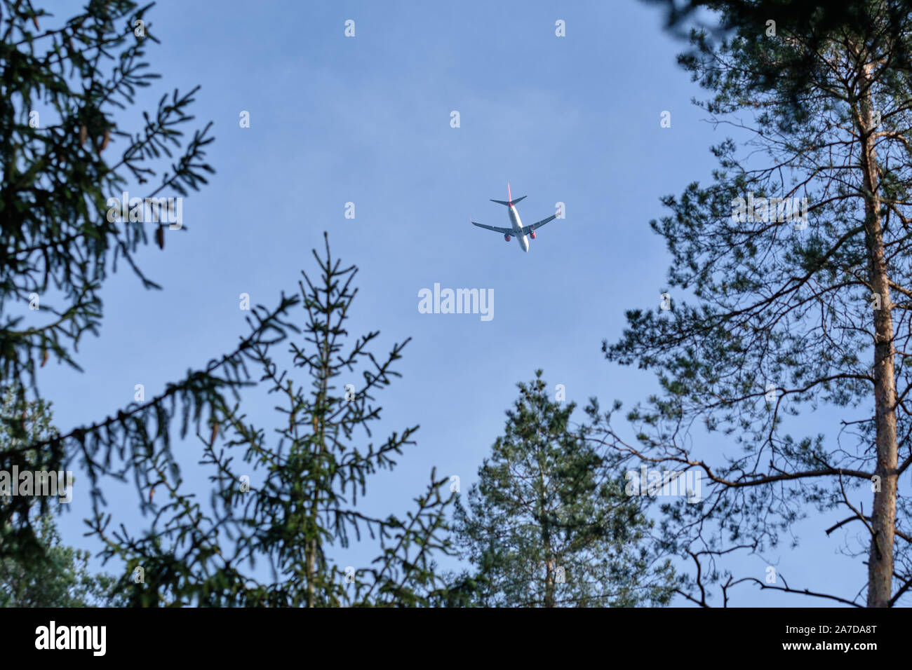 Airplane flying above forest hi-res stock photography and images - Alamy