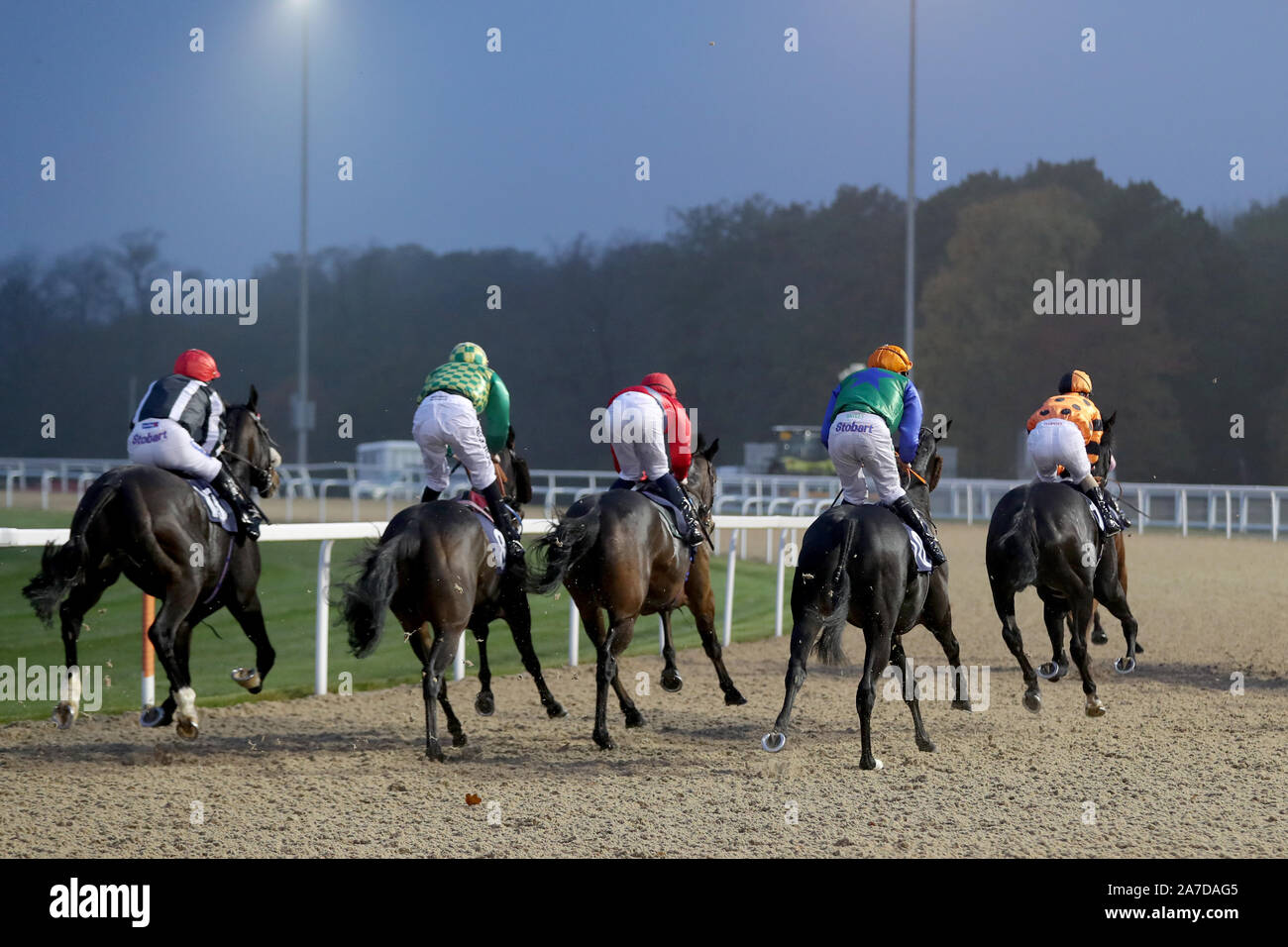 All weather racing at Newcastle Racecourse Stock Photo - Alamy